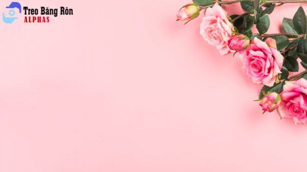 100+ Mẫu Background 8/3 Mừng Quốc Tế Phụ Nữ