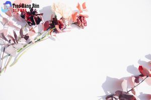 100+ Mẫu Background 8/3 Mừng Quốc Tế Phụ Nữ