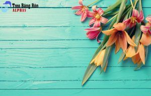 100+ Mẫu Background 8/3 Mừng Quốc Tế Phụ Nữ