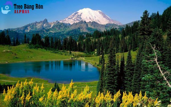 100+ background đẹp, ảnh nền đẹp, chất lượng cao